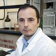 Dejan Nikolic | Research | University of Illinois Chicago